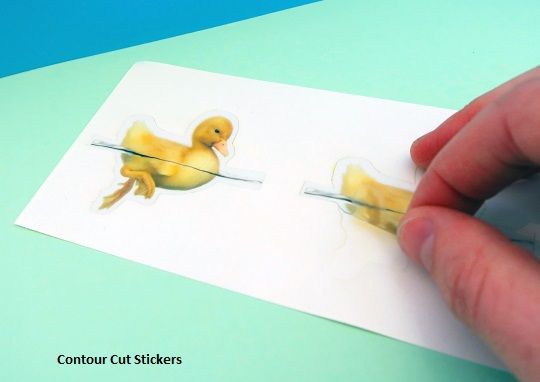 Sticker & Label Printing | Contour Cut Labels | CQ Print Christchurch