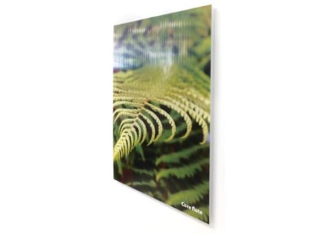 Corflute Printing | Real Estate Signs | CQ Print Christchurch