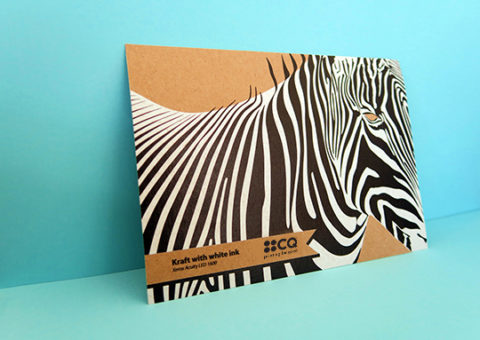 Full Colour Poster Printing | Premium Posters | CQ Print Christchurch