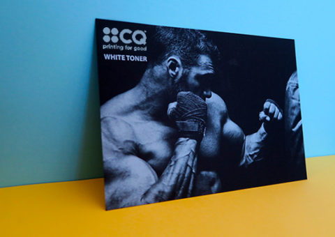 Full Colour Poster Printing | Premium Posters | CQ Print Christchurch